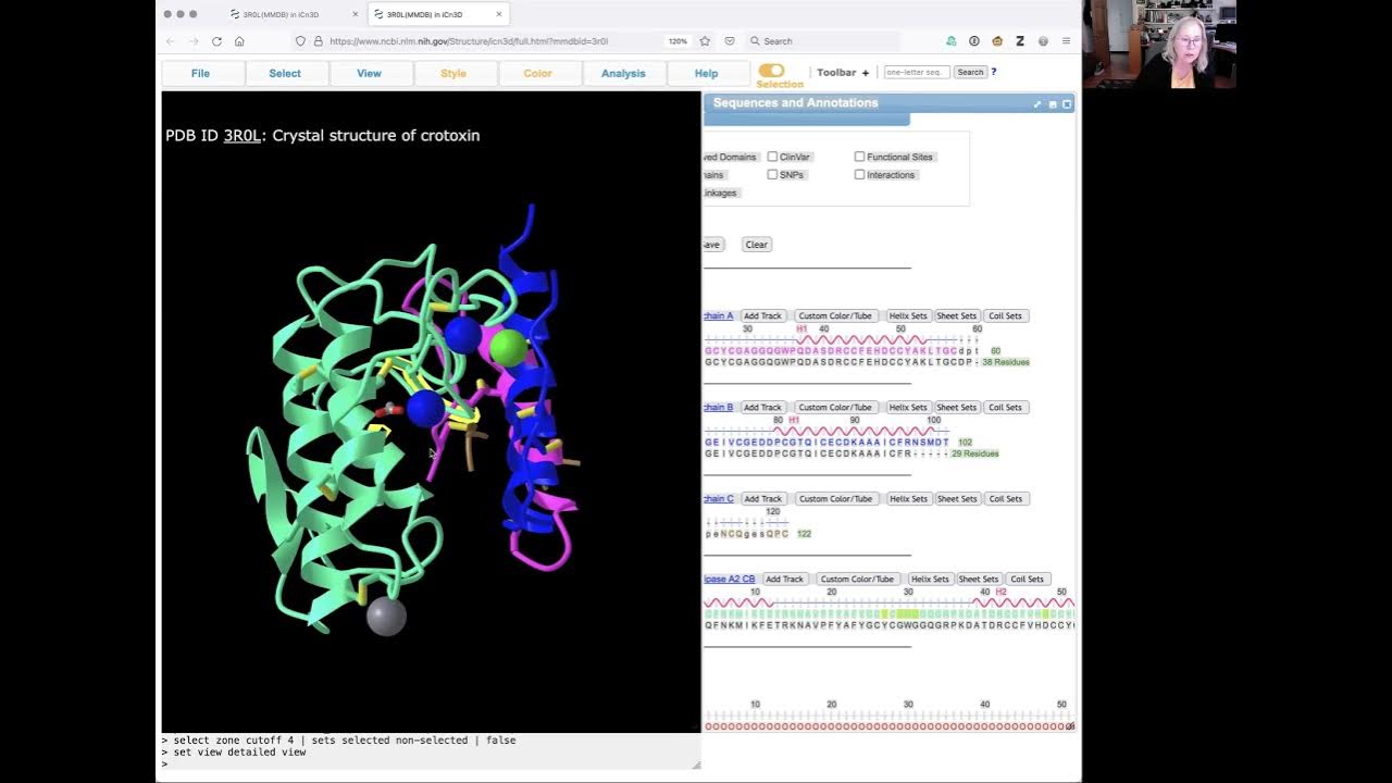 Identifying metal bonds using iCn3D - YouTube