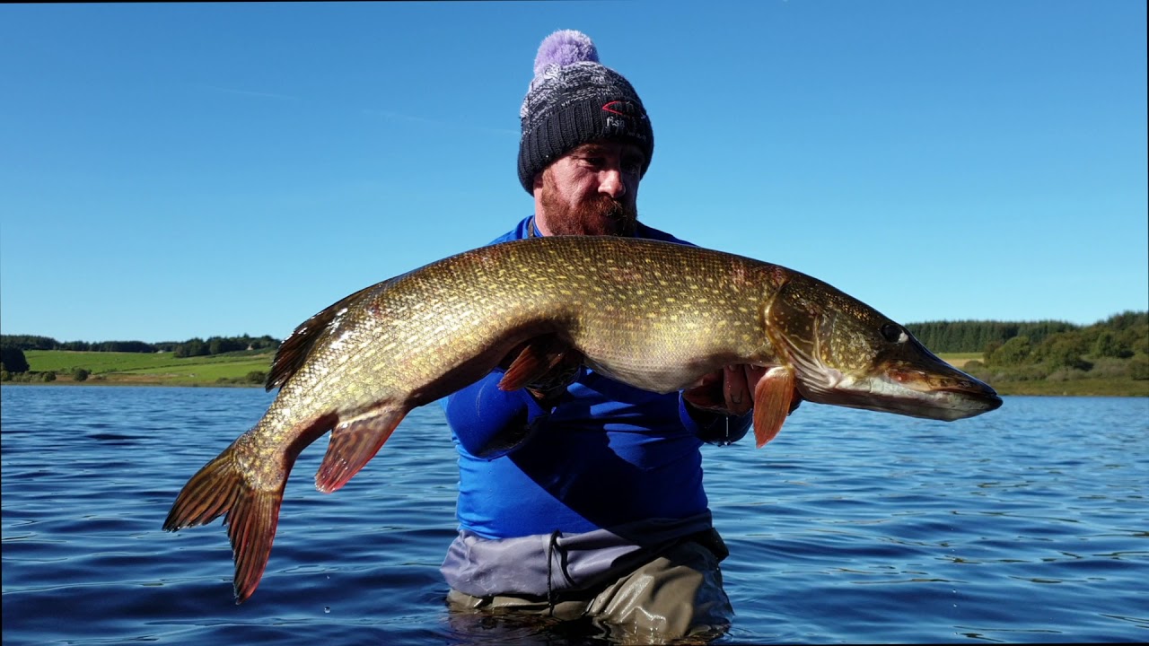 Guided Pike fishing Scotland - YouTube