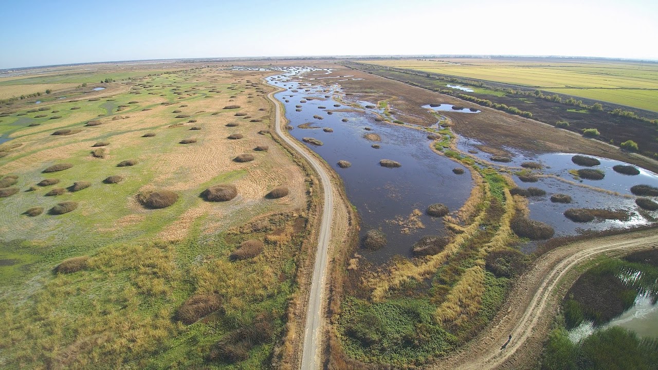 Yolo Bypass Wildlife Area Oct 8 2018 - YouTube