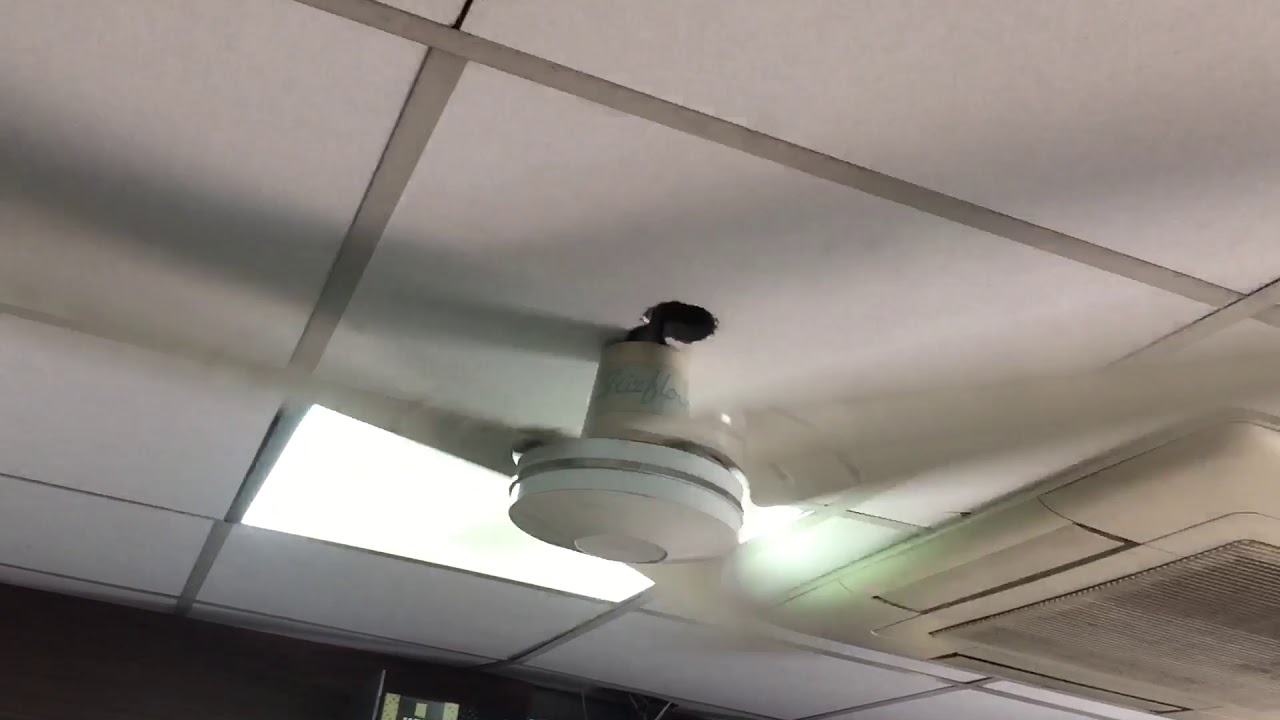 Vintage stirflow ceiling fan in philharmonic mini market, Liverpool ...