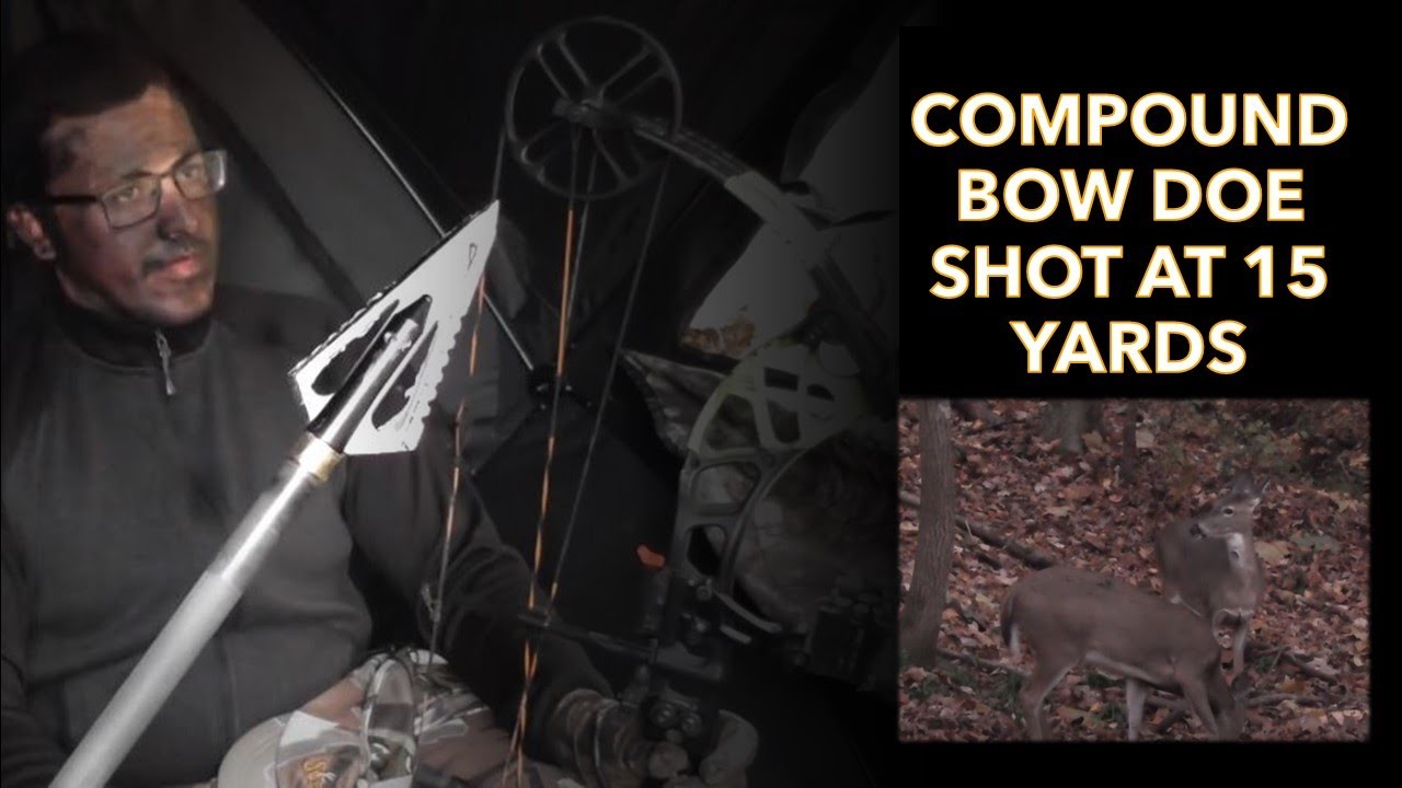 Compound Bow Doe, Shot at 15 yards!! Epic Blood Trail, Fixed 2 Blade ...
