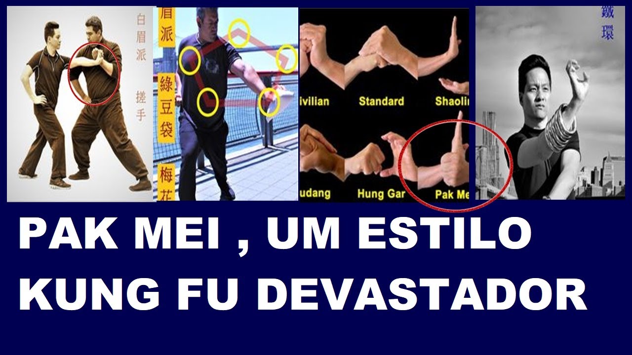 KUNG FU PAK MEI , ORIGENS, TECNICAS . ENTENDA SEU EFICENTE ...