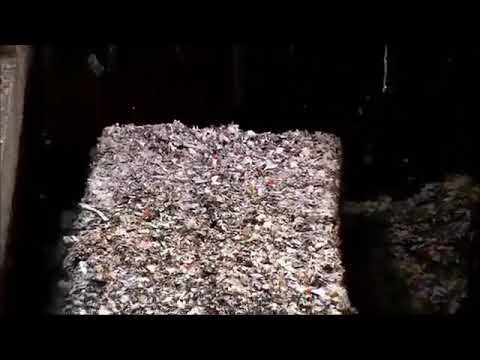 How Pepsi is made factory #trending #video #viral #pepsi