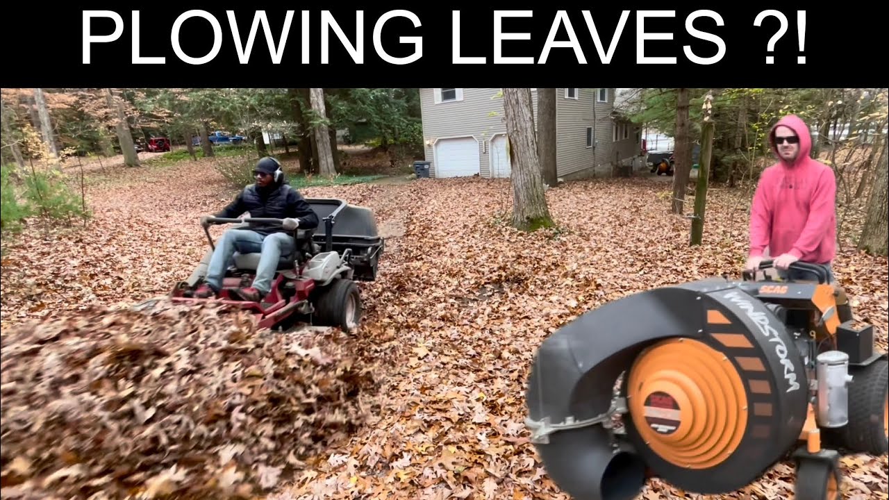 "Crazy Fall Leaf Cleanup: Conquering Mountains of Leaves in 3+ Hours ...