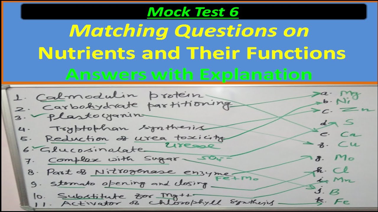 Mock Test 6: Matching Questions on Nutrients and Their Functions - YouTube