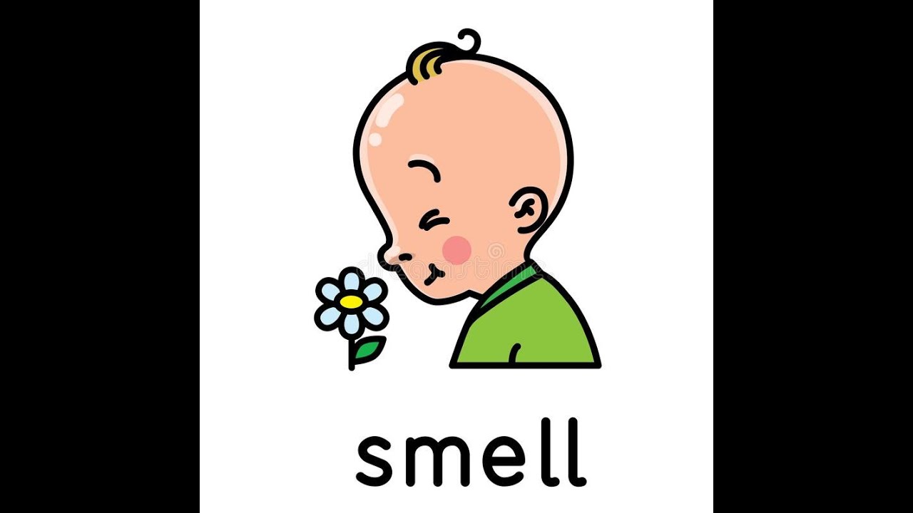 Olfactory sense/ Improve your child's sense of smell/ - YouTube