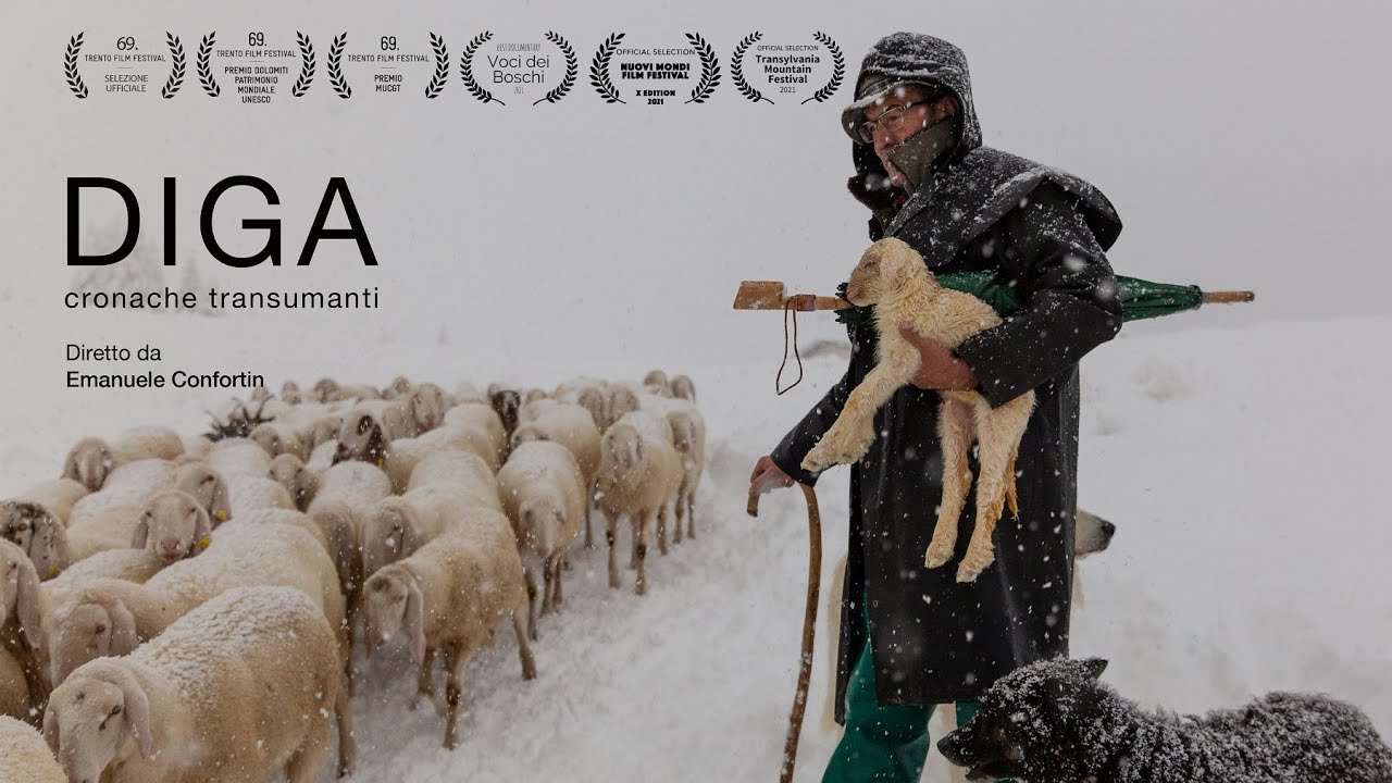 Diga trailer - YouTube