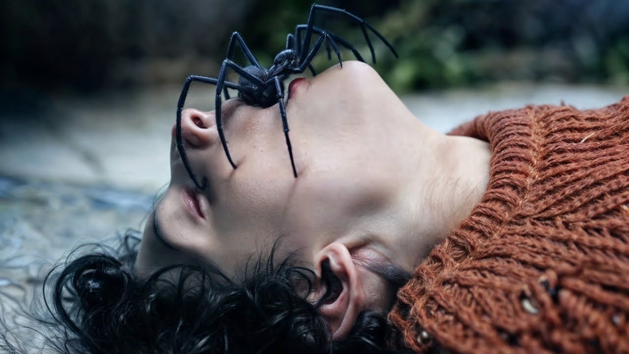 Man Just Realizes His Pet Spider's True Nature As It Starts Taking Over ...