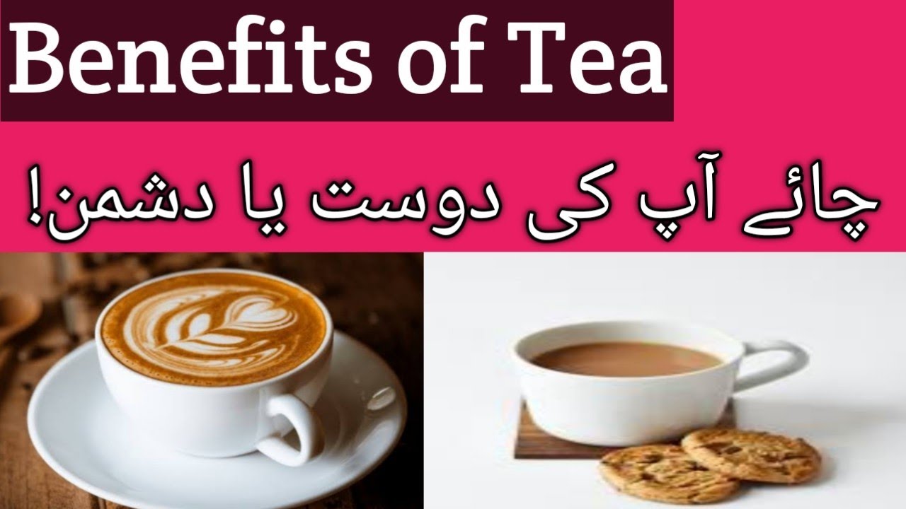 Tea ap ki dost ya dushman | Tea peeny k fayde Jan kar ap heran rh jy gy ...
