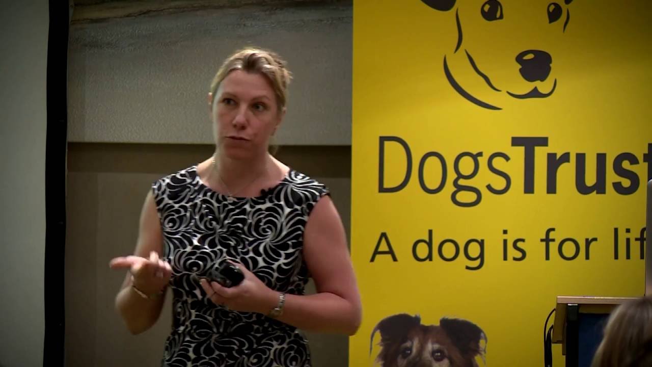 The Dogs Trust - Conference Video - YouTube