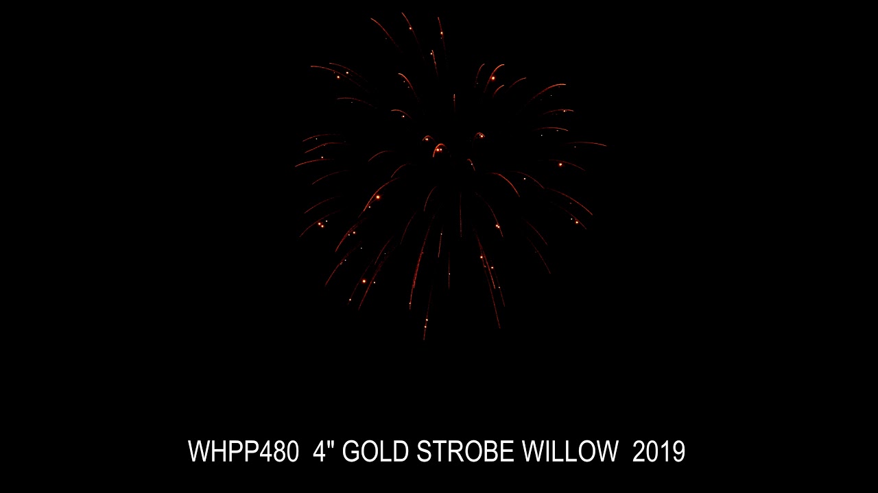 WHPP480 4" GOLD STROBE WILLOW 2019 - YouTube