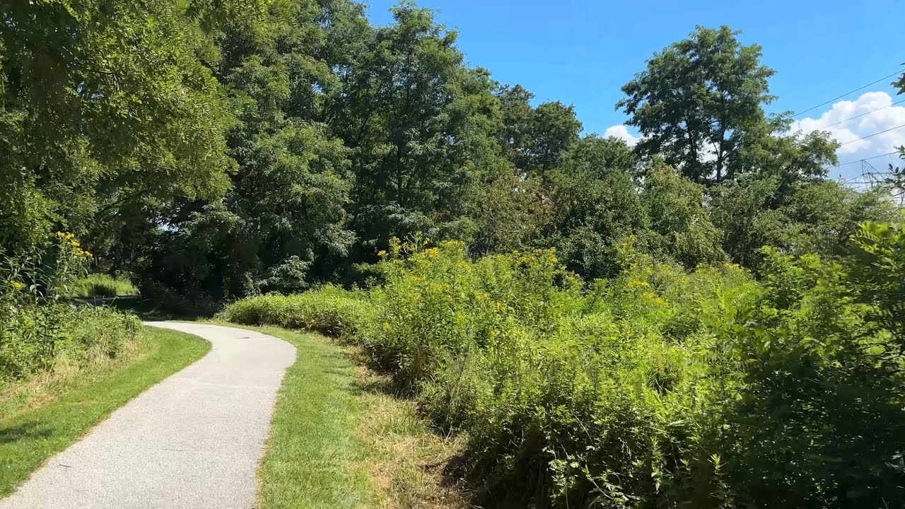 Walk Around Chagrin River Park (summer) 4k 04 - YouTube