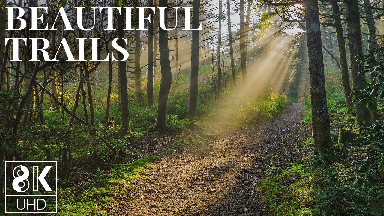 Breathtaking 8K HDR Nature Trails of the World | Stunning Wallpapers ...