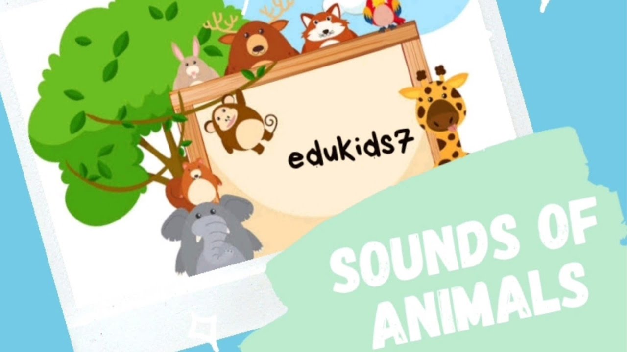 Sounds of animals,sounds of birds and sounds of vehicles - YouTube