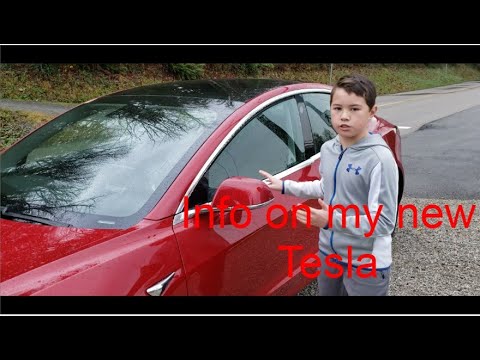 I got a new Tesla (real life 2020) - YouTube