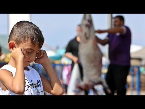 Psikoterapist Akbulut: Çocukların önünde kurban kesmek şiddete meyli artırır