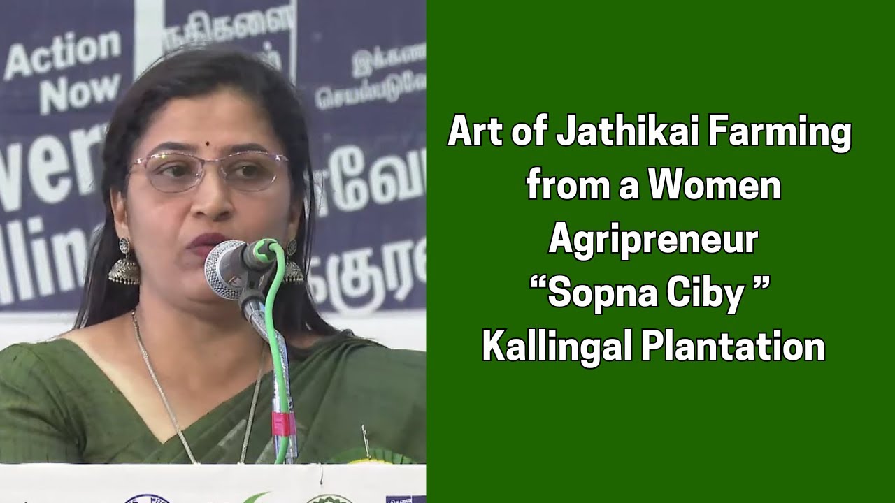 Mastering Jathikai Farming: Soil, Fertilizer, and Marketing Tips from ...