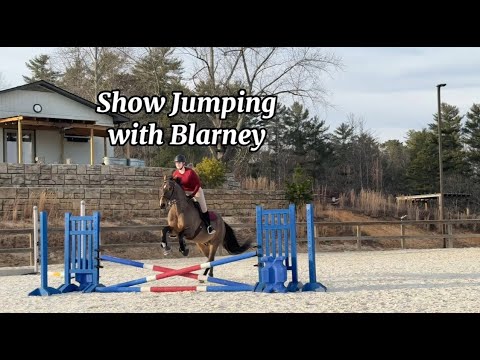 Christmas Day Show Jumping Lesson - YouTube