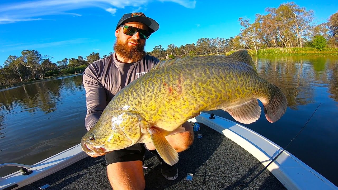 Top Rated Yellowbelly and Murray Cod Fishing Lures Right Now! - YouTube