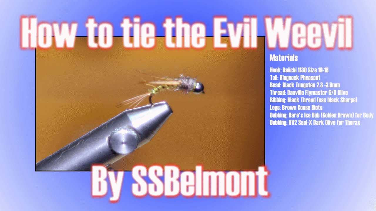 How to tie the Evil Weevil Fly Pattern SSBelmont on Fly - (As good as a ...