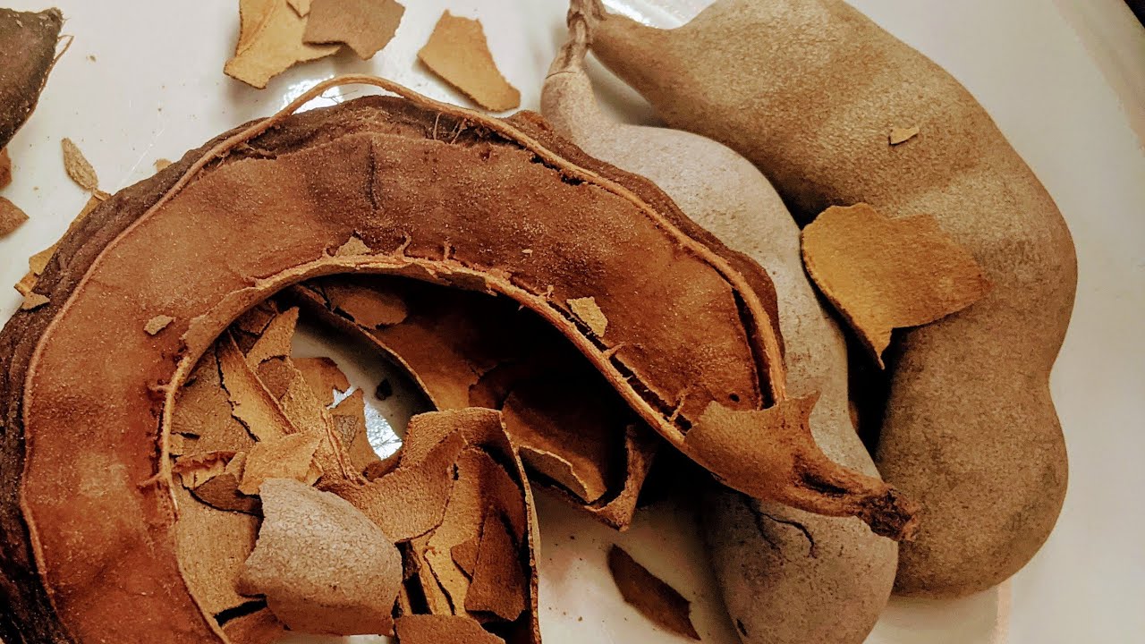 SATISFYING ASMR SOUNDS/Cracking & Cleaning Tamarind Shell To Get The ...