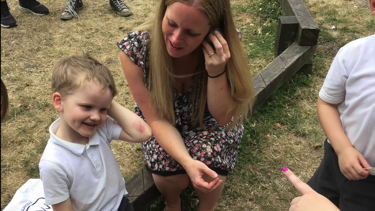 Tales Toolkit Summer story from Smithy Bridge Primary School - YouTube