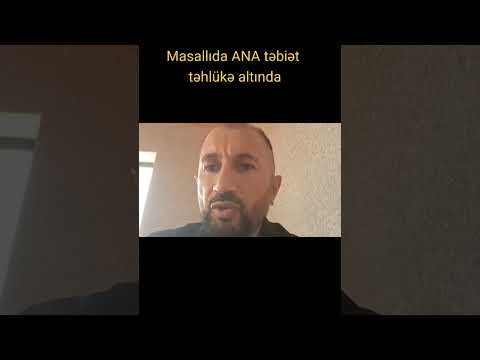 Masallıda Ana Təbiət Məhv Olur. Prezidentə müraciət