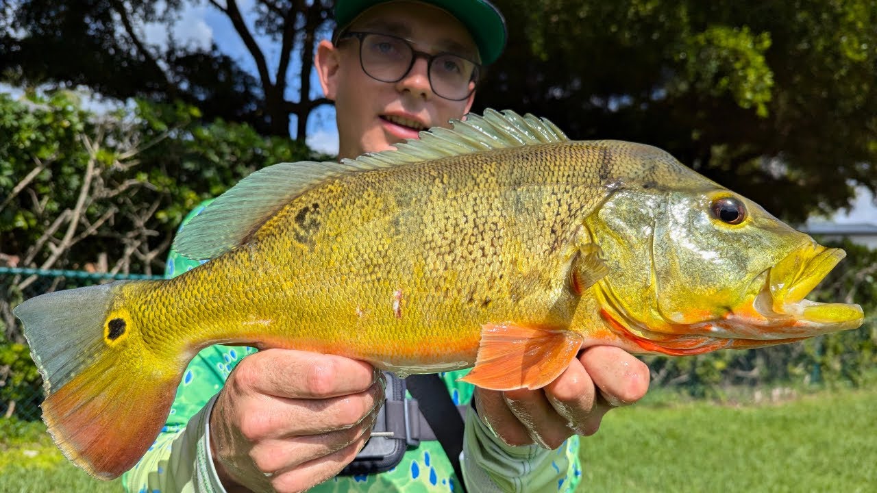 4 jours prendre le plus gros poisson possible dans les canaux de Miami ...