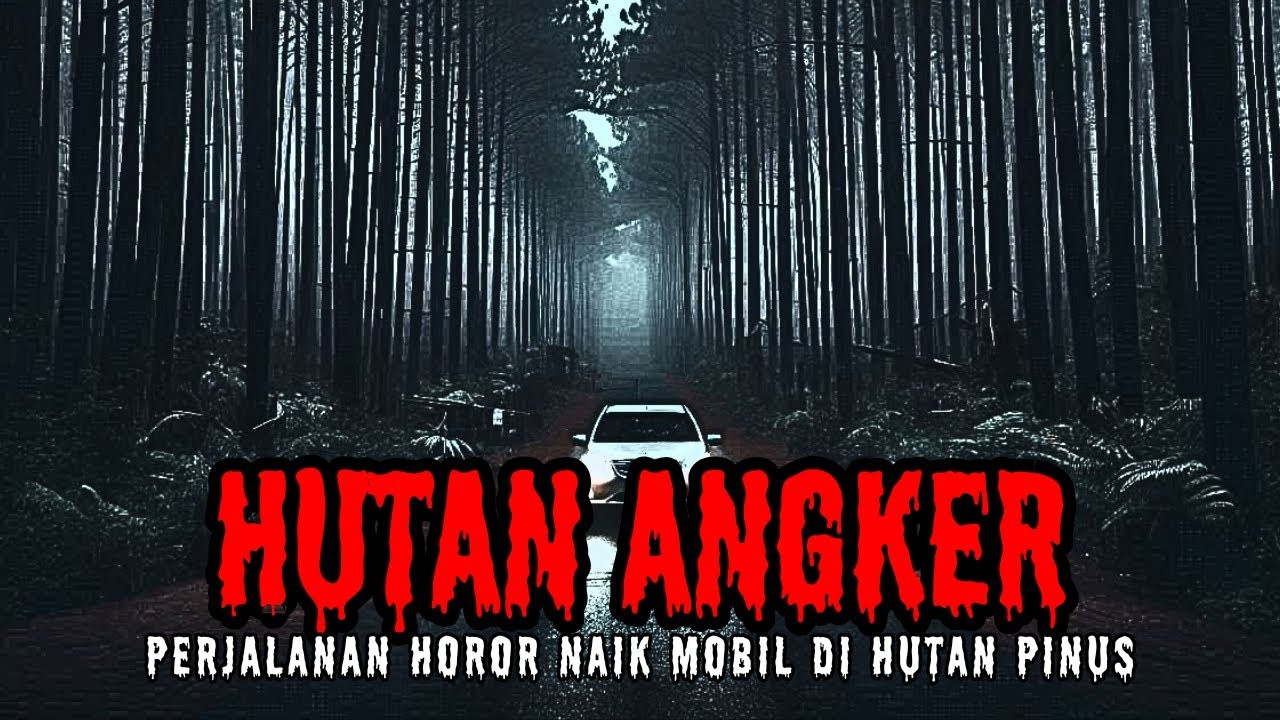 SERAM!!! PERJALANAN HOROR DI HUTAN PINUS YANG ANGKER! - YouTube