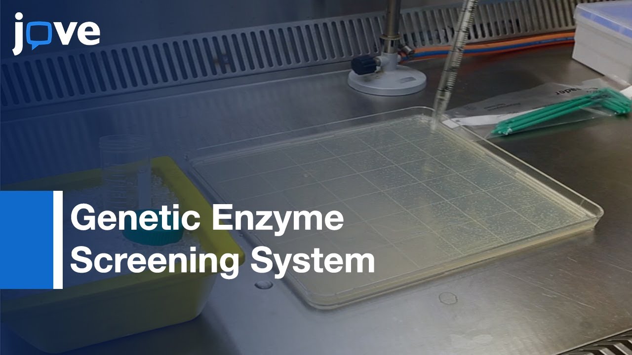 Multi-Enzyme Screening Using High-Throughput Genetic Enzyme Screening ...