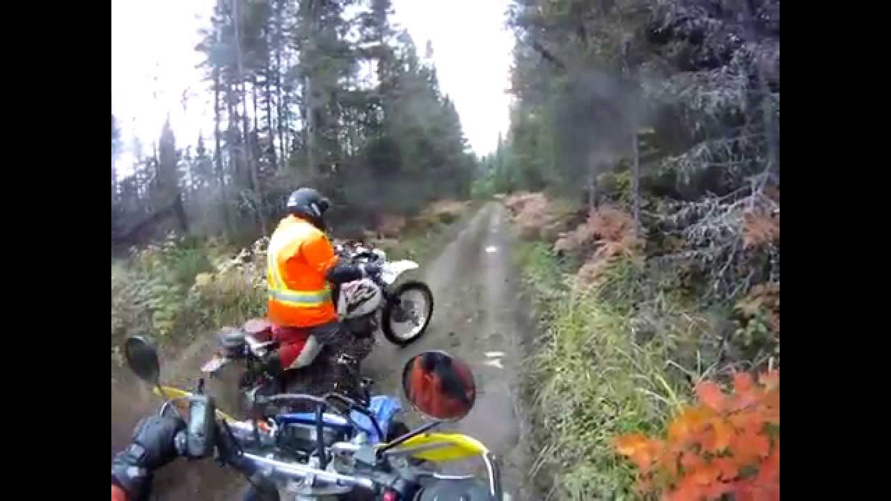DirtBiking Logging Roads - YouTube