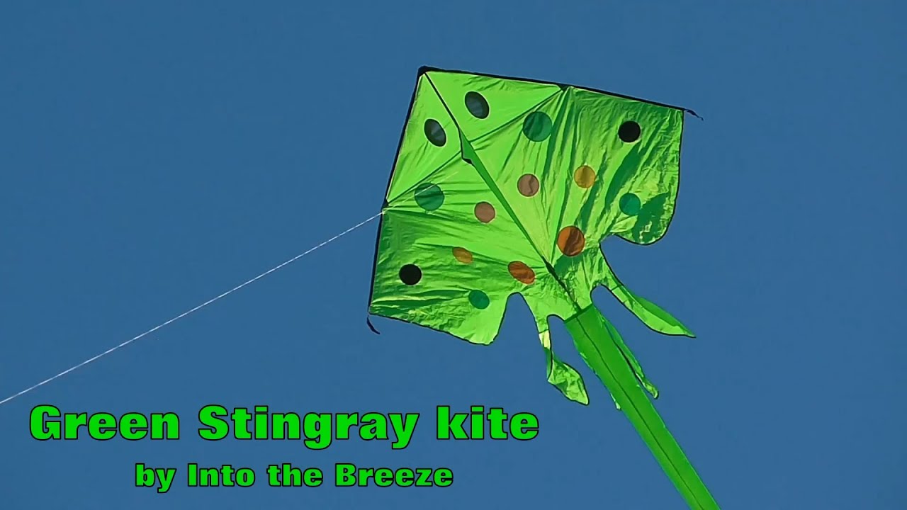 Green small stingray kite - YouTube