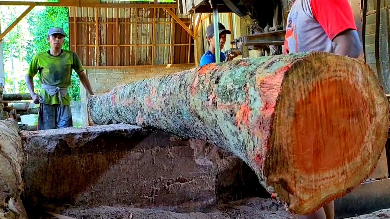 Rawan Patah,,!! kayu Wadang banyak mata ini digergaji olahan balok 6x10 ...