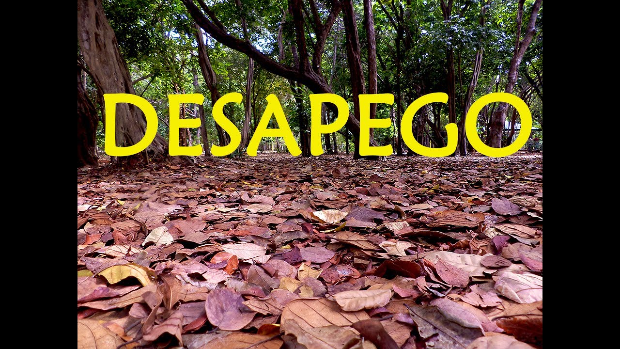 DESAPEGO MATERIAL & EMOCIONAL - YouTube