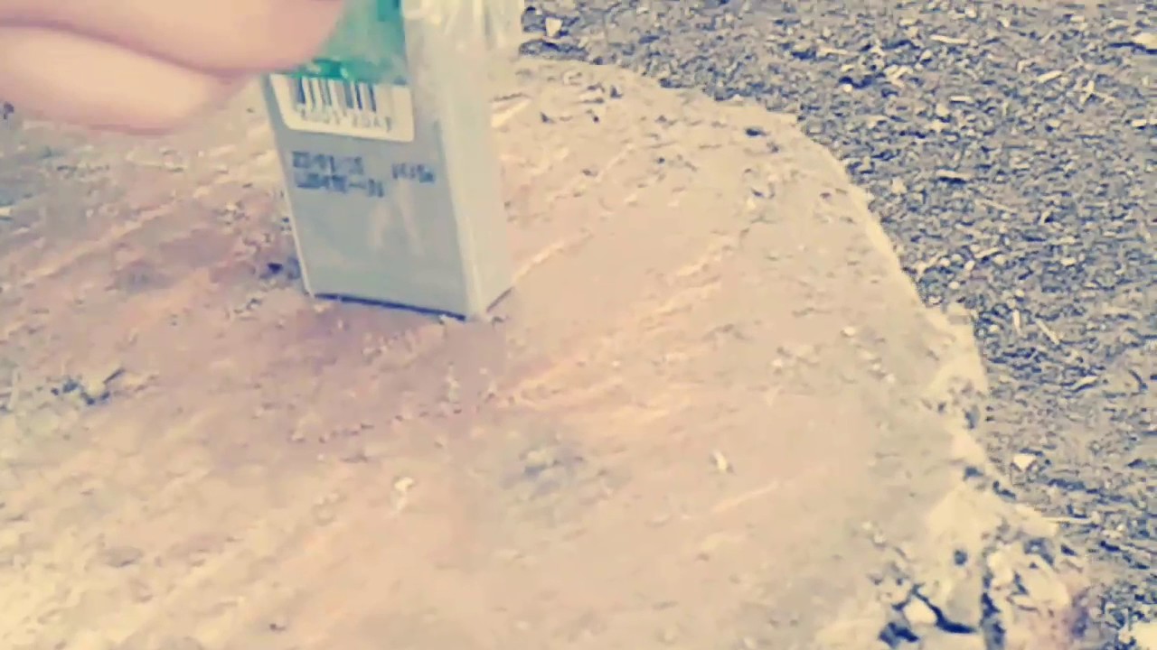 Dimna bomba! - YouTube