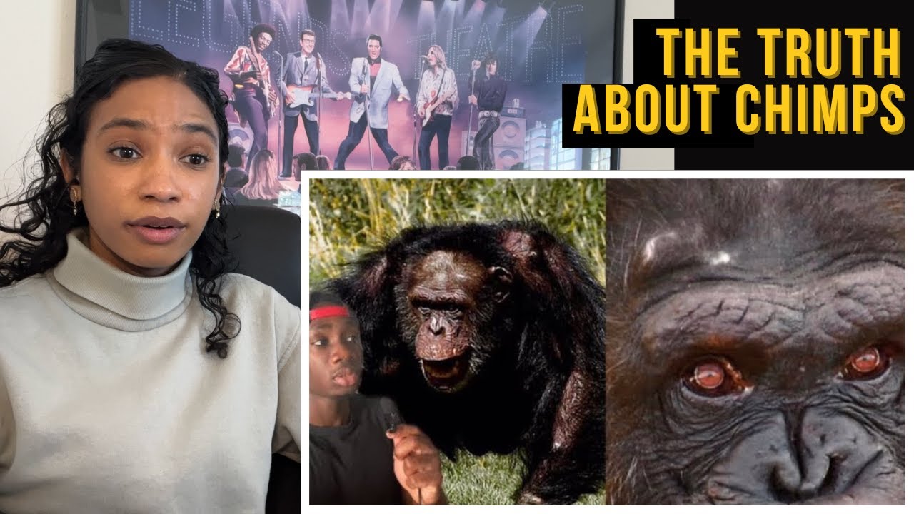 "The Terrifying Truth About Chimps" (Casual Geographic Reaction) - YouTube