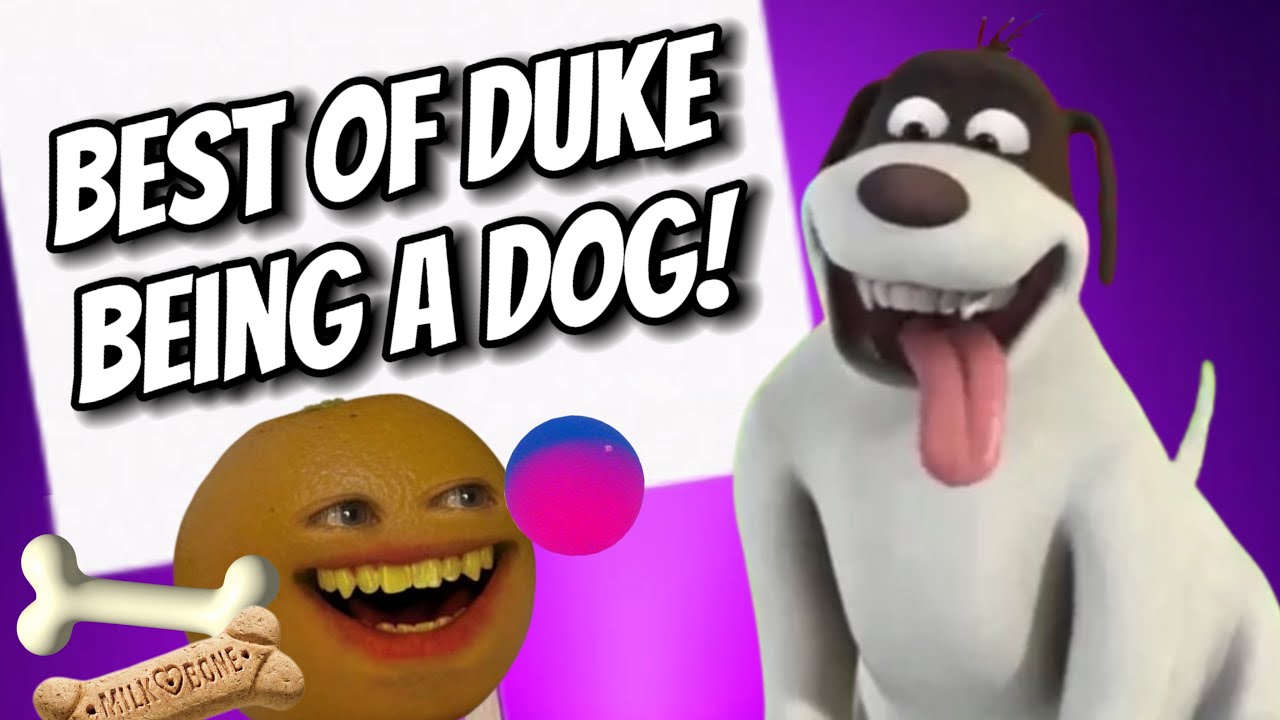Best Of Duke Being A Dog! - YouTube