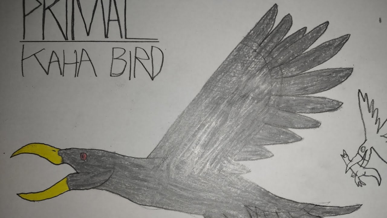 Sound Effects-Kaha Bird - YouTube