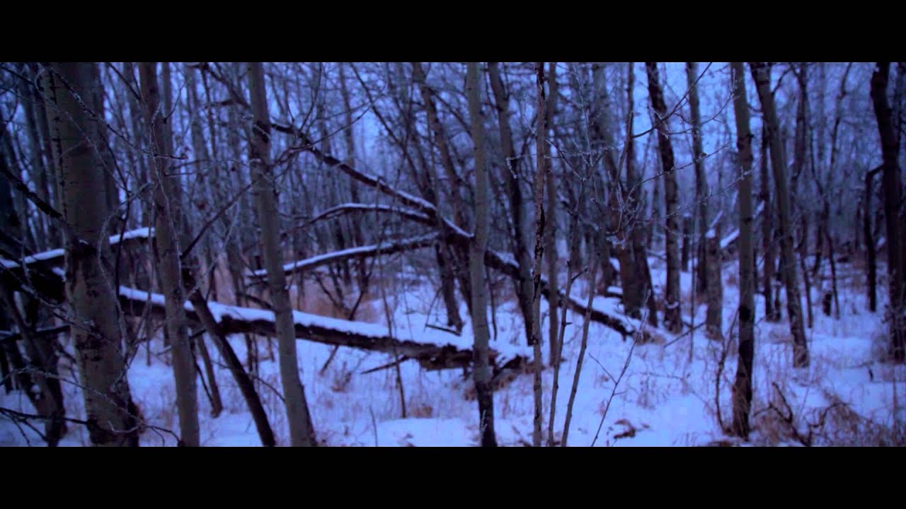 Magic Lantern - Cinematic look - Canon 5D Mark 3 - YouTube