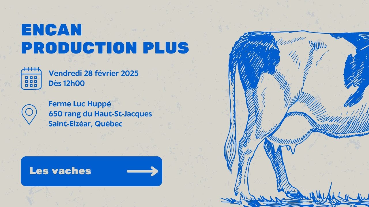Les animaux - Encan Production Plus - 28 février 2025 - YouTube