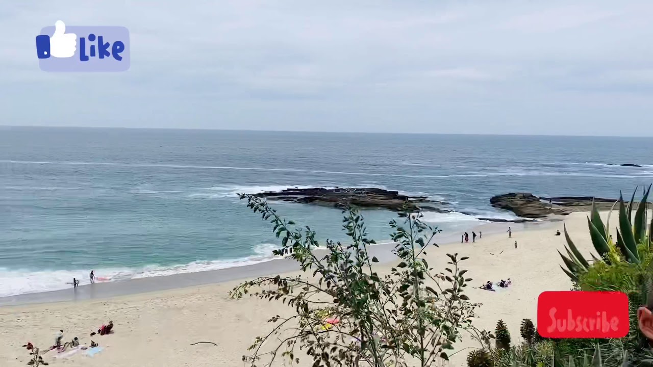 Exploring at the beach 🏖 - YouTube