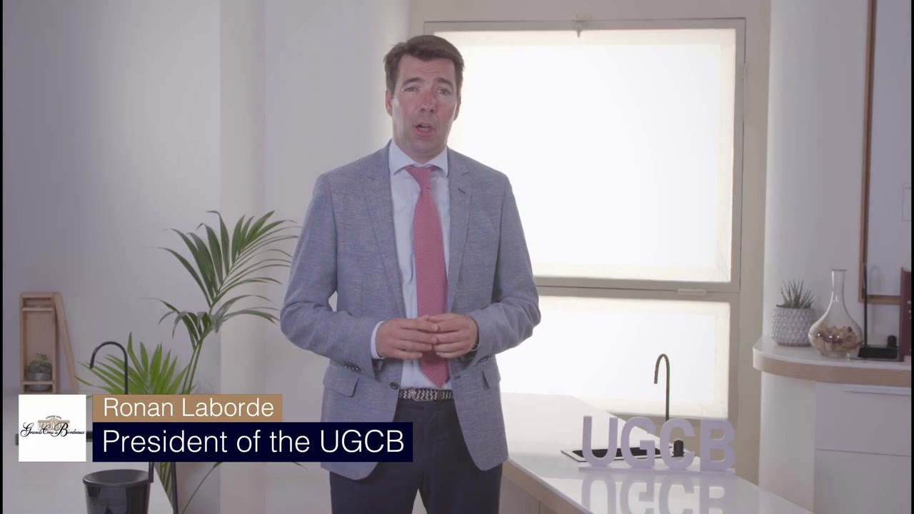En Primeur 2019 Vintage by Ronan Laborde UGCB President - YouTube