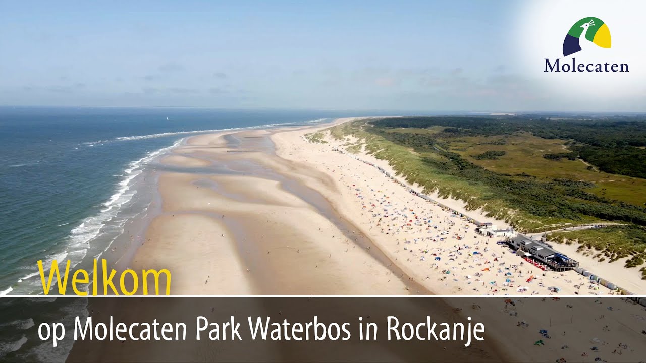 Welkom op Molecaten Park Waterbos in Rockanje, Zuid-Hollandse Eilanden ...