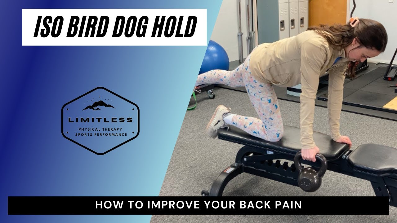 Iso Bird Dog Hold - YouTube
