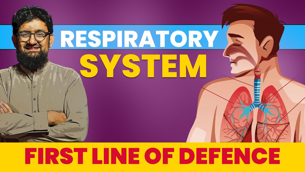 First Line of Defence Respiratory System - YouTube