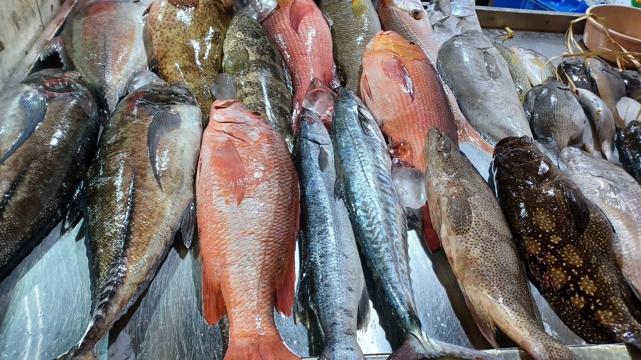 YANBU SAUDI ARABIA Fish Market KUYA JIMS Vlog is live - YouTube