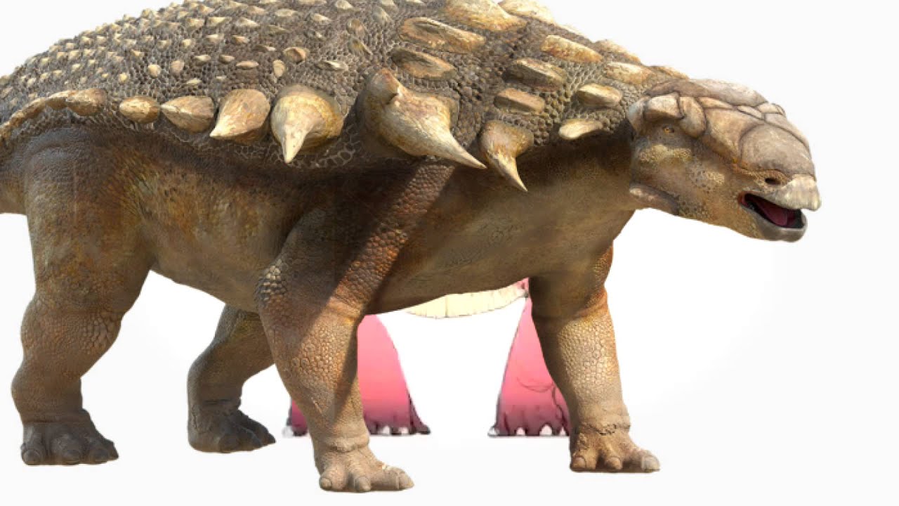 Dinosaur Discoveries Nodosaurus - YouTube