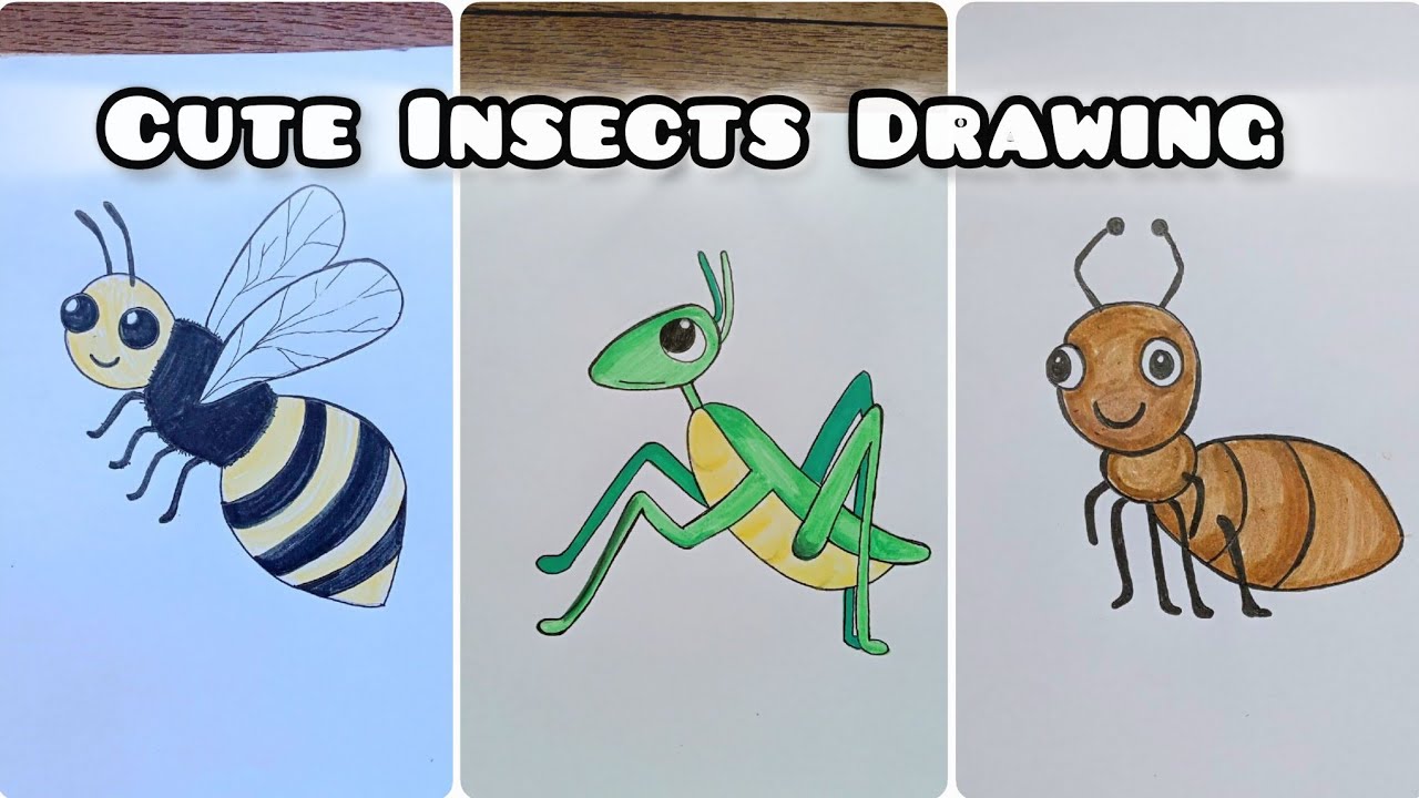 Cute Insects Drawing Collection 🐝🐞 | Easy Step by Step Drawings for ...