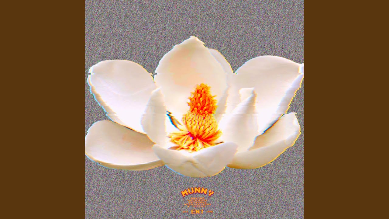 Still Magnolia - YouTube