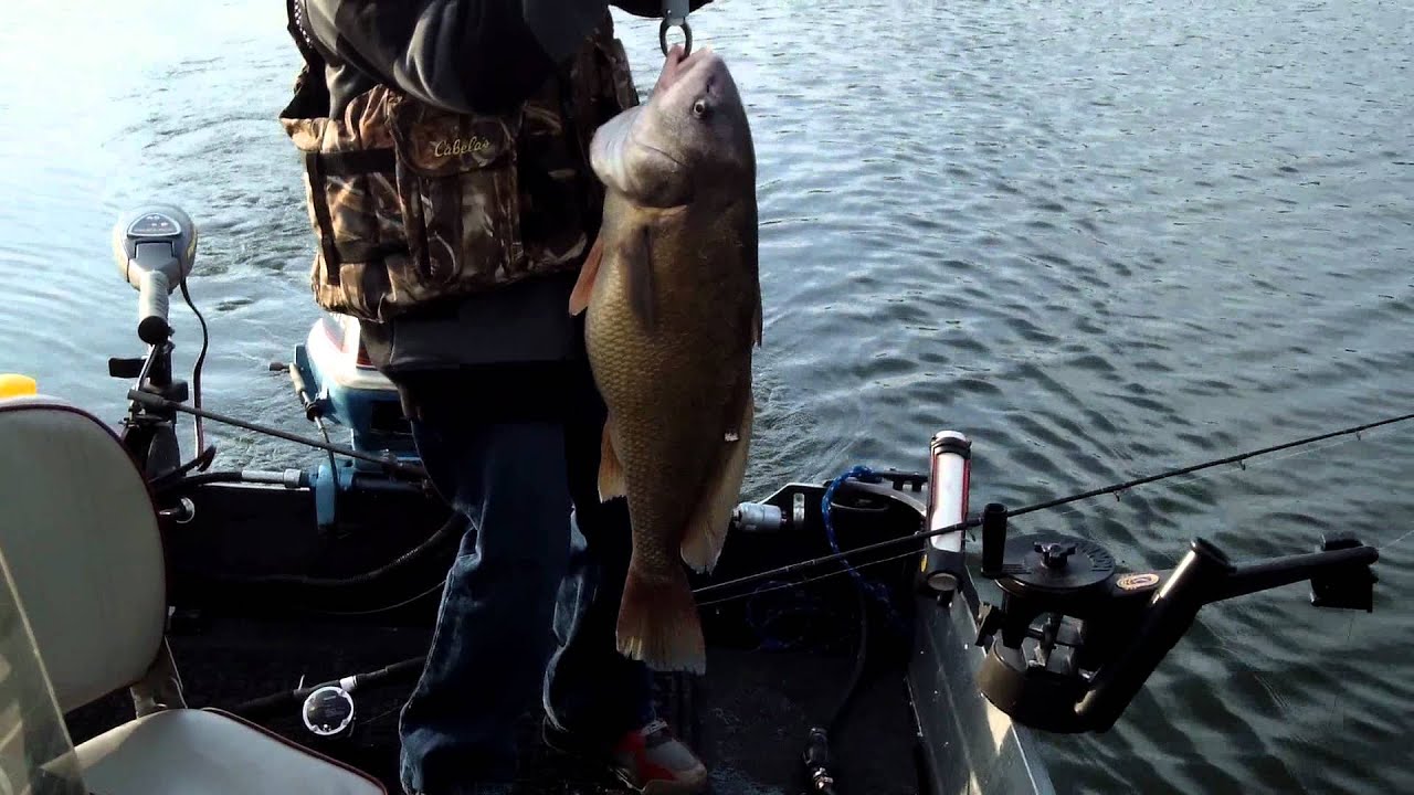 Irondequoit bay Giant Fish! - YouTube